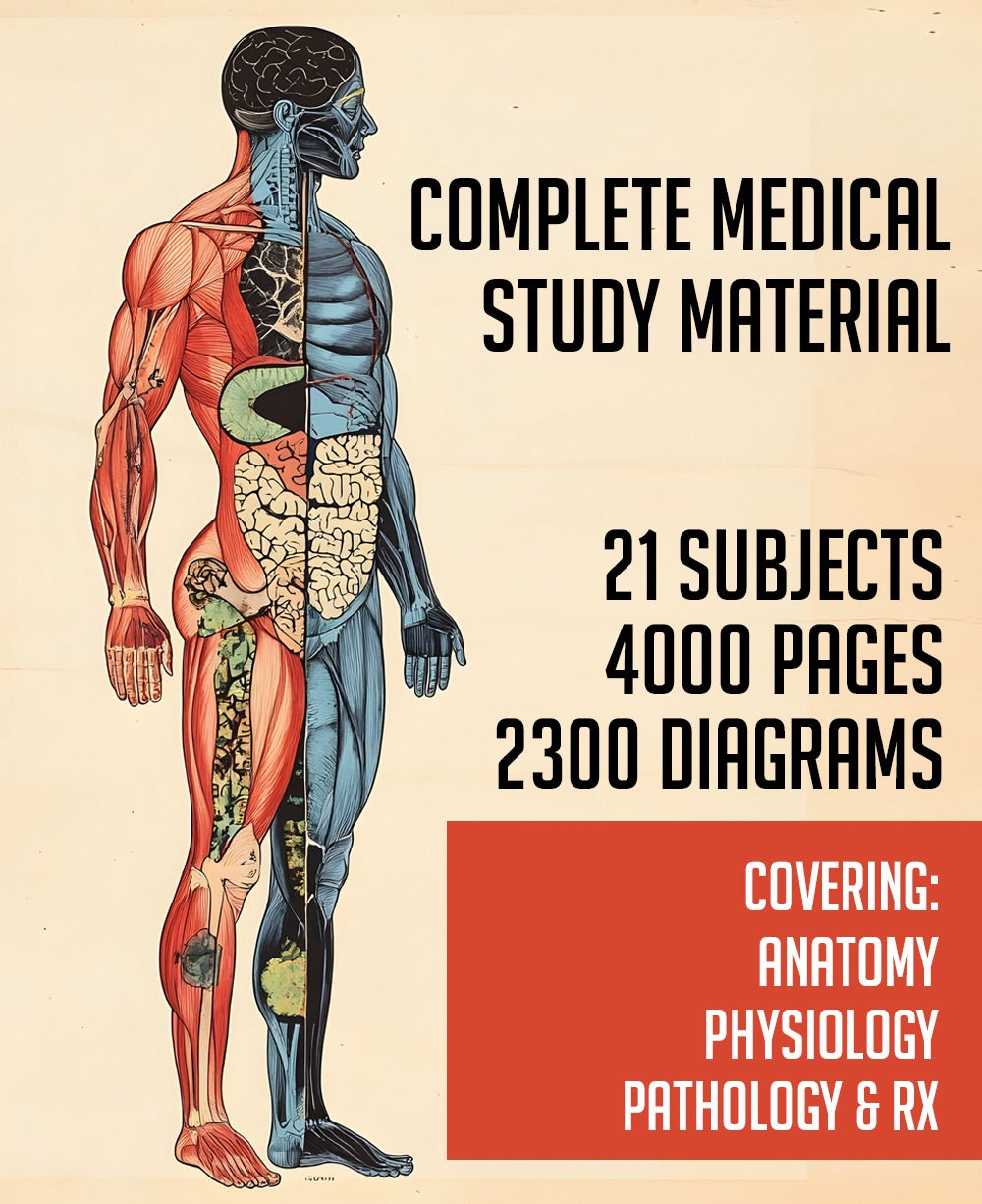 Medical Notes - Doeezy